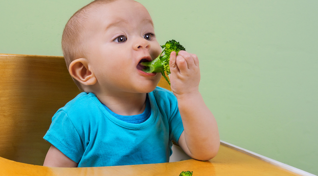 The Latest On Complementary Feeding For Babies And Young Children The Latest On Complementary Feeding For Babies And Young Children