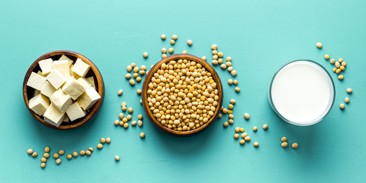 Soya is safe and healthy • MyNutriWeb