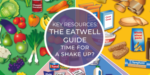 Key Resources: The Eatwell Guide, Time for a Shake Up • MyNutriWeb